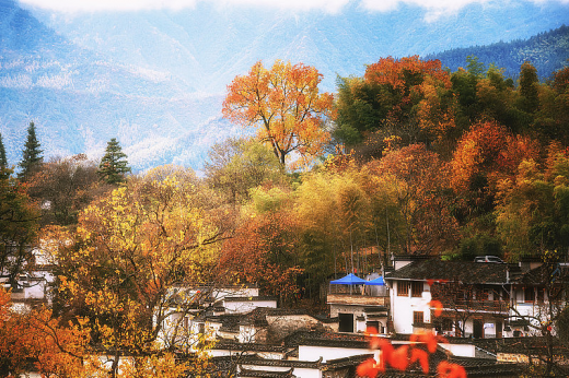 【C位江西】南昌、三清山、鄱阳湖、望仙谷、篁岭、婺女洲、景德镇、庐山双飞六日 山东旅游公司官方网站（银座旅游）0531-67898882 ...