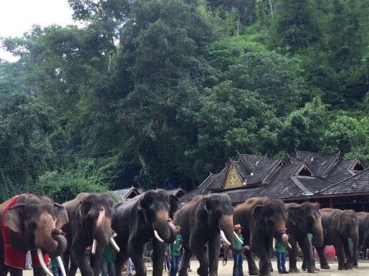 双飞西双版纳6日游 山东旅游公司官方网站（银座旅游）0531-67897722、67898882山东省旅行社序列排名第一位、山东出发跟团游 ...