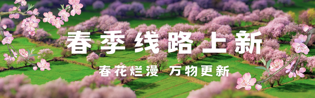 山东旅游有限公司官方网站 山东旅游有限公司官方网站（银座旅游）