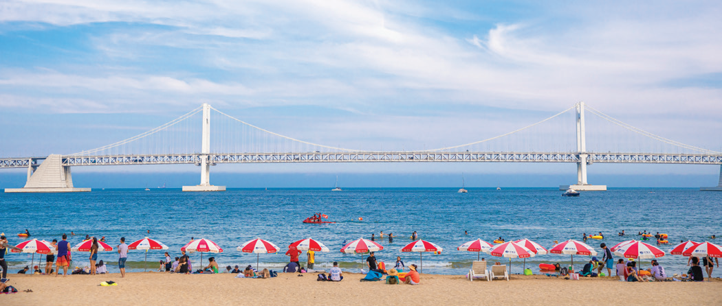 春季赏樱釜山双飞5日（含一整天自由活动） 山东旅游公司官方网站（银座旅游）0531-67898882、67897722山东省旅行社序列排名第一 ...