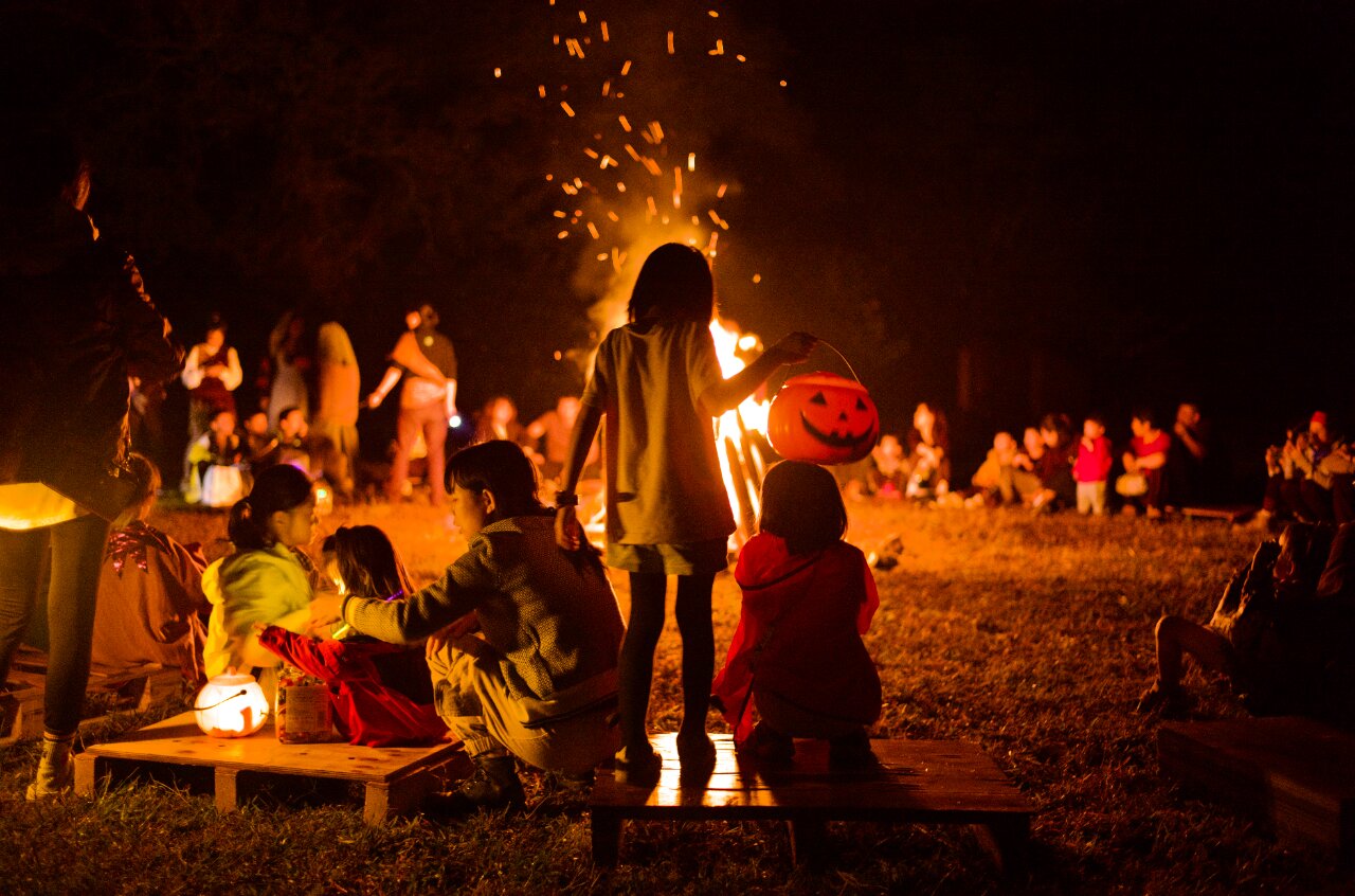 【趁年华去呼伦贝尔】呼伦贝尔双飞6日 山东旅游公司/旅行社官方网站 0531-67897722、67898882山东省旅行社序列排名第一位 ...