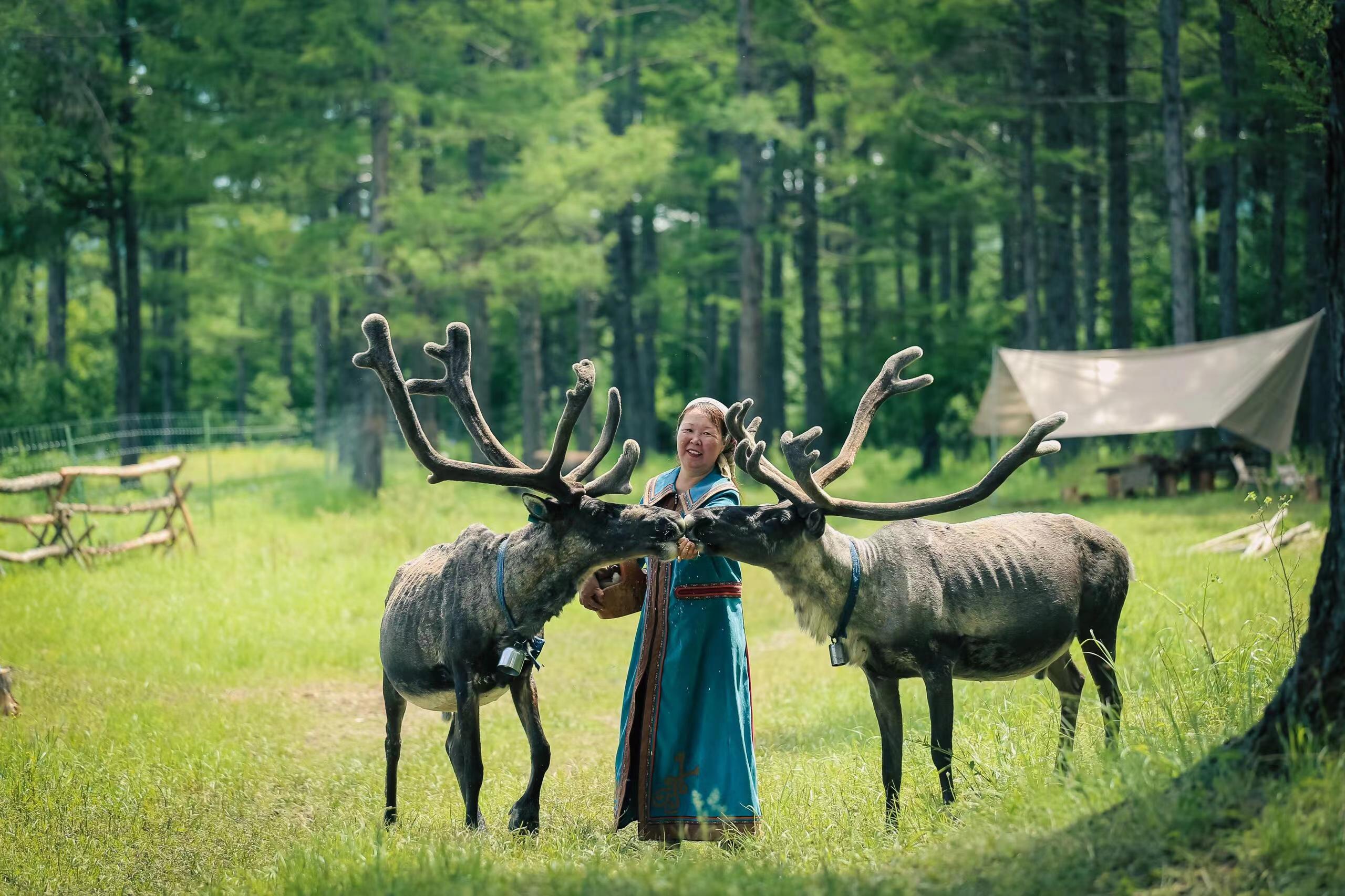 【相约呼伦贝尔】呼伦贝尔双飞6日 山东旅游公司官方网站（银座旅游）0531-67898882、67897722山东省旅行社牌照排名第一位、山东 ...